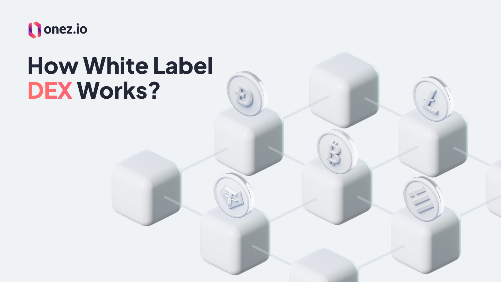 How White Label Decentralized Crypto Exchange works